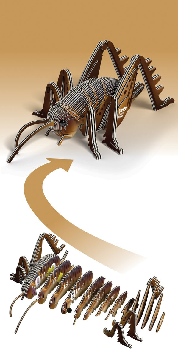 Eugy Giant Weta 3D Cardboard Model Kit – Primary Colours - Lyme Regis ...